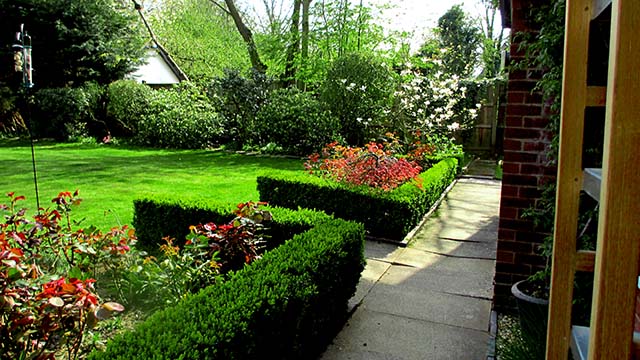 Hedge Trimming and Hedge Cutting Service – Wigan gardener services ...
